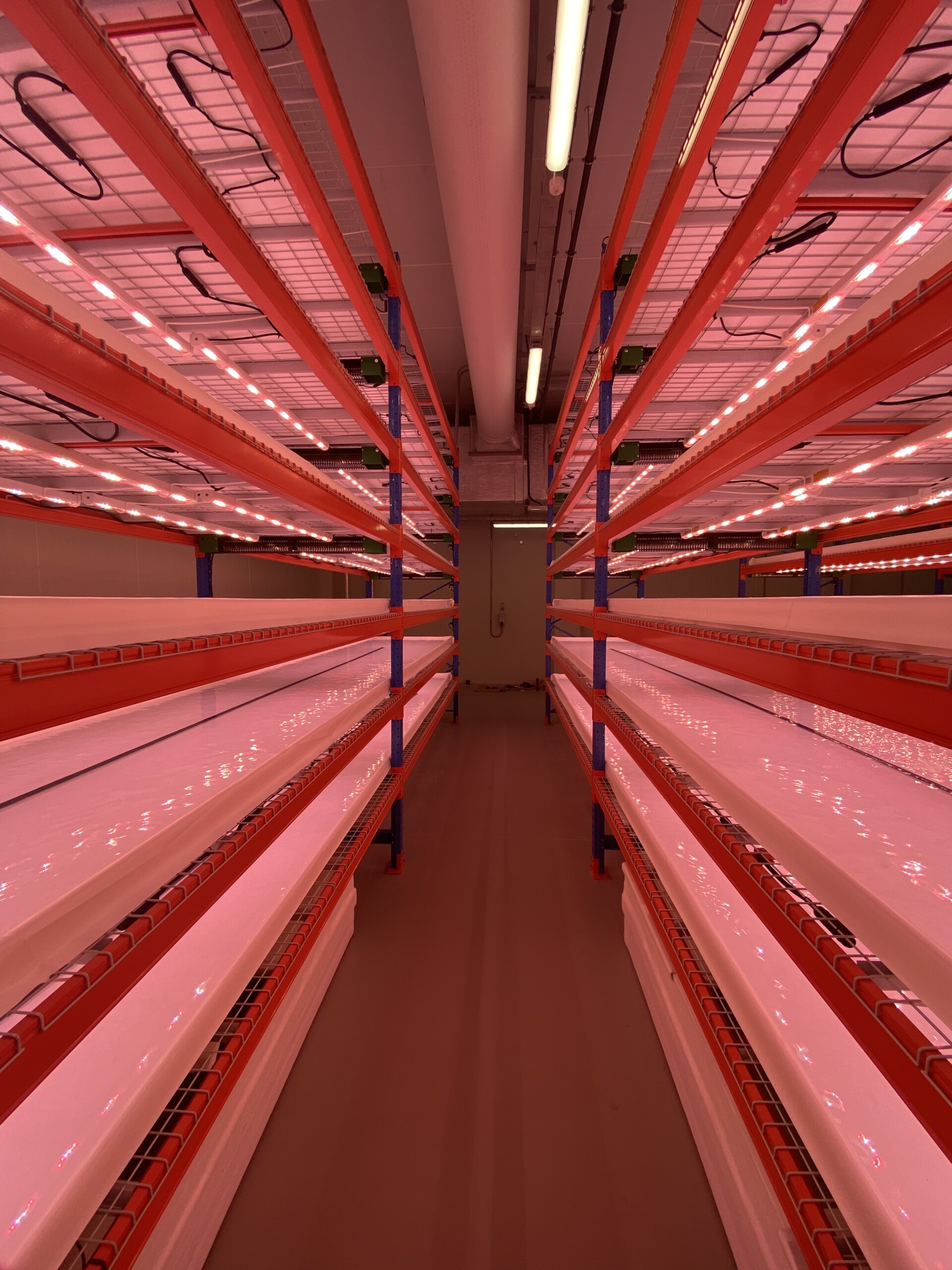 7 Habits of Highly Effective Floors - Duphill Technical Solutions LLC