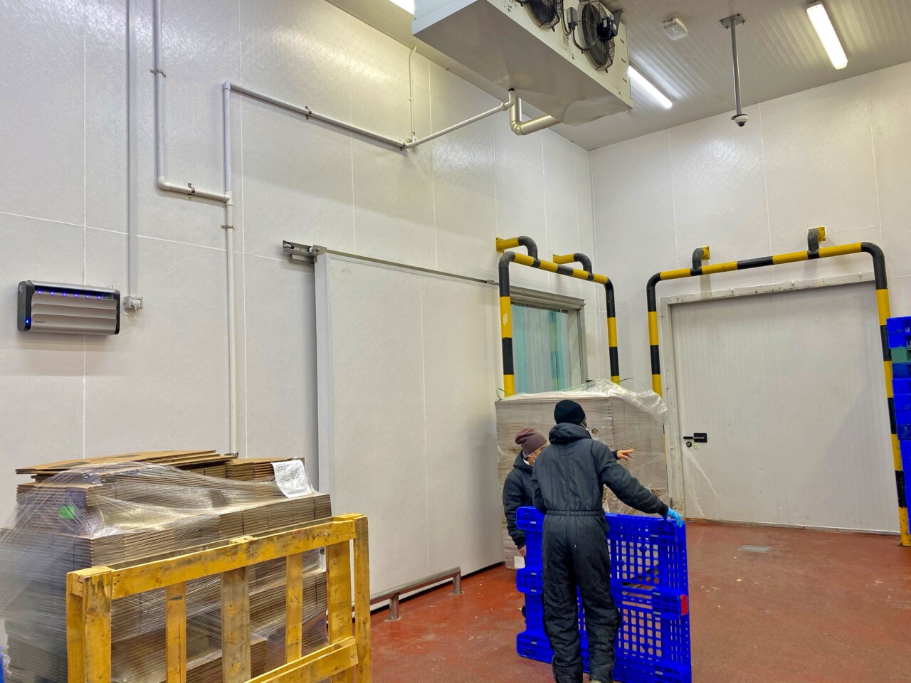 Projects | Americana | Duphill