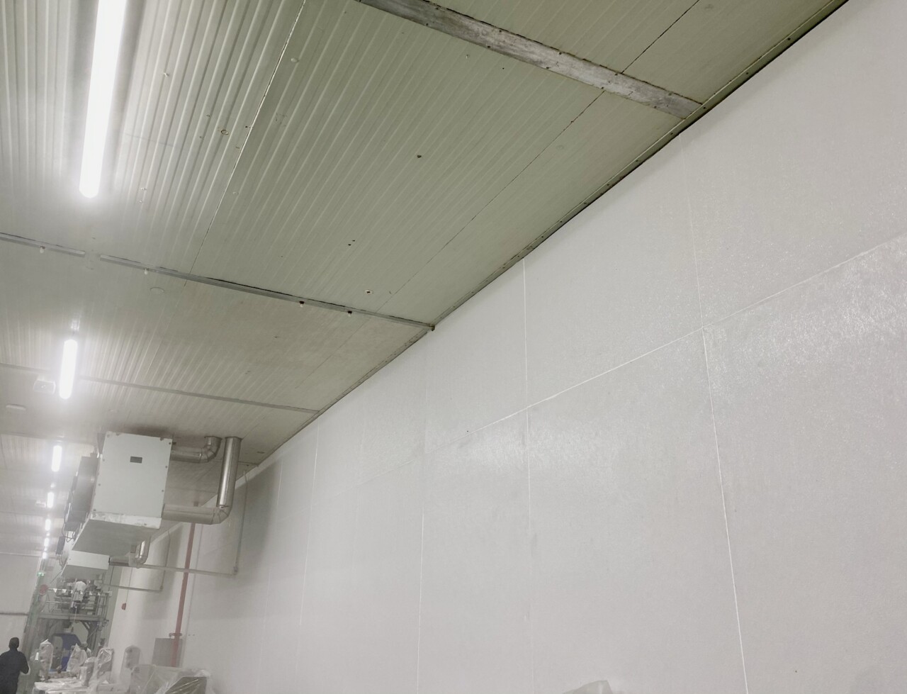 Projects | Americana | Duphill