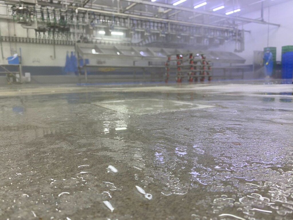 Unveiling the Versatility and Benefits of MMA Flooring | Duphill